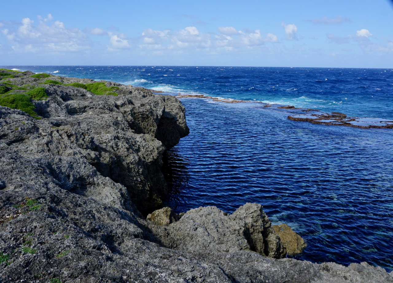 The Kingdom of Tonga, Where Pigs Go Fishing – Domain Islands Tour